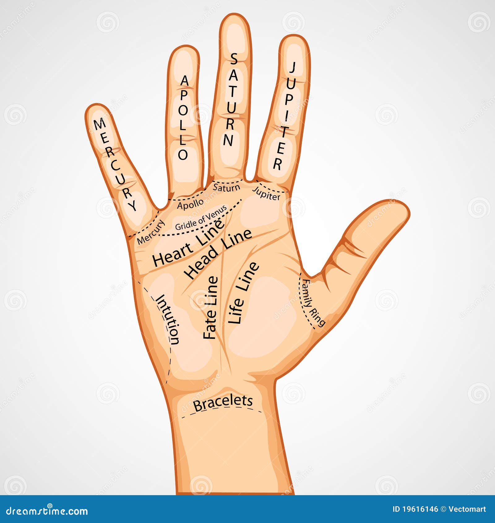 Palmistry Royalty-Free Stock Photography | CartoonDealer.com #39925337