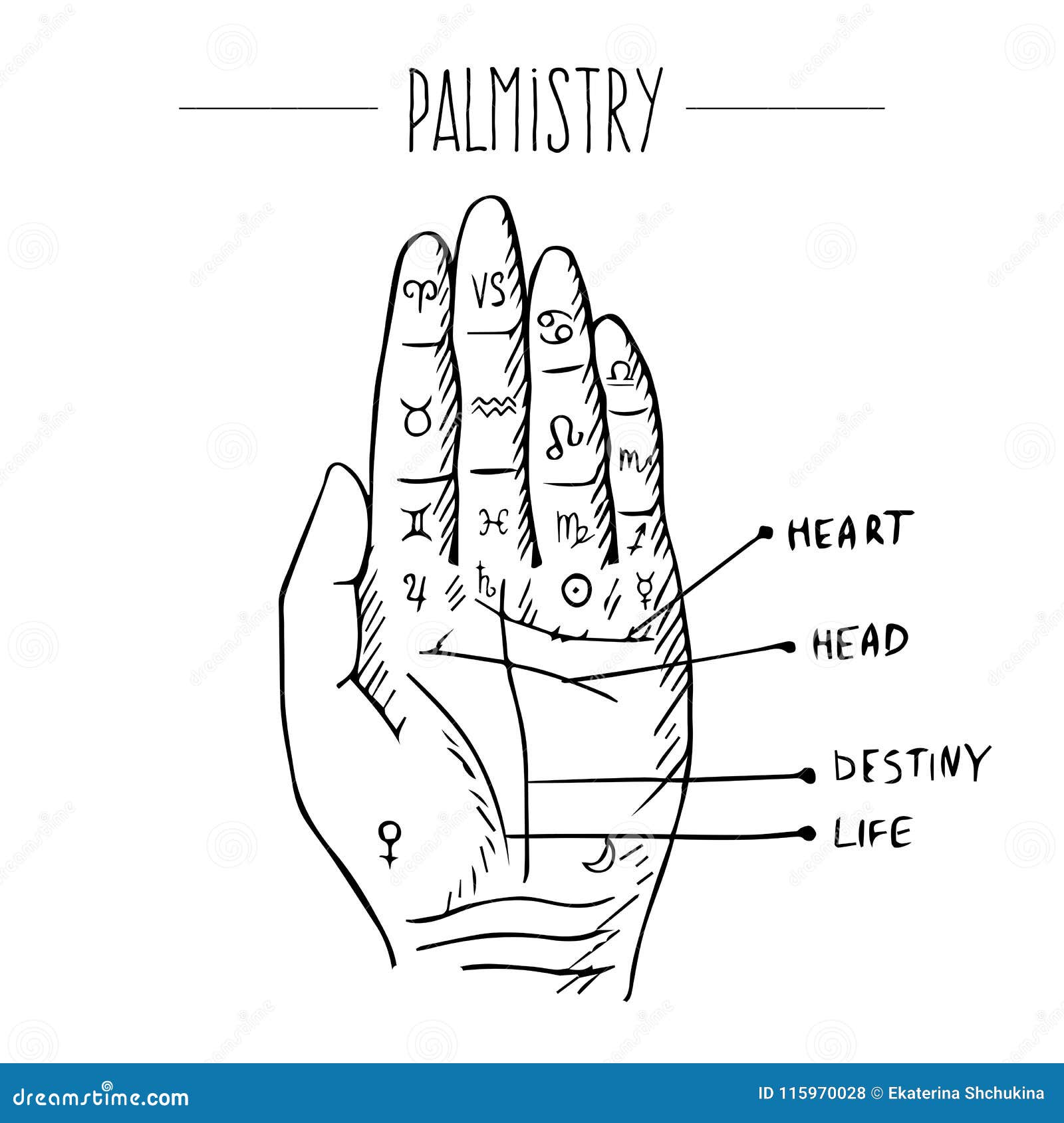 Palmistry scheme stock illustration. Illustration of palm - 115970028