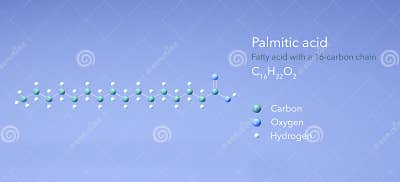 Palmitic Acid Molecule, Molecular Structures, Hexadecanoic Acid, 3d ...