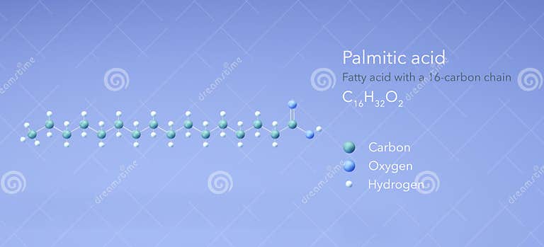 Palmitic Acid Molecule, Molecular Structures, Hexadecanoic Acid, 3d ...