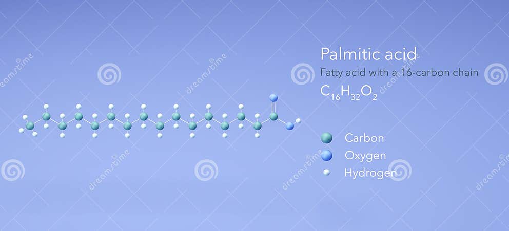 Palmitic Acid Molecule, Molecular Structures, Hexadecanoic Acid, 3d ...