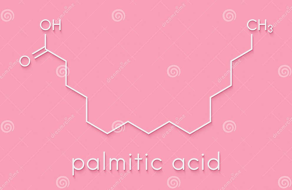 Palmitic Hexadecanoic Acid Saturated Fatty Acid Molecule. Skeletal ...