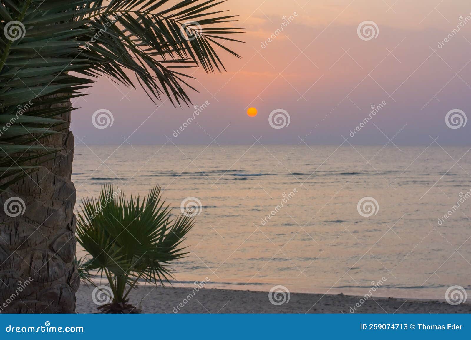 Palms at the Beach during Warm Sunrise with Orange Sun Stock Image ...