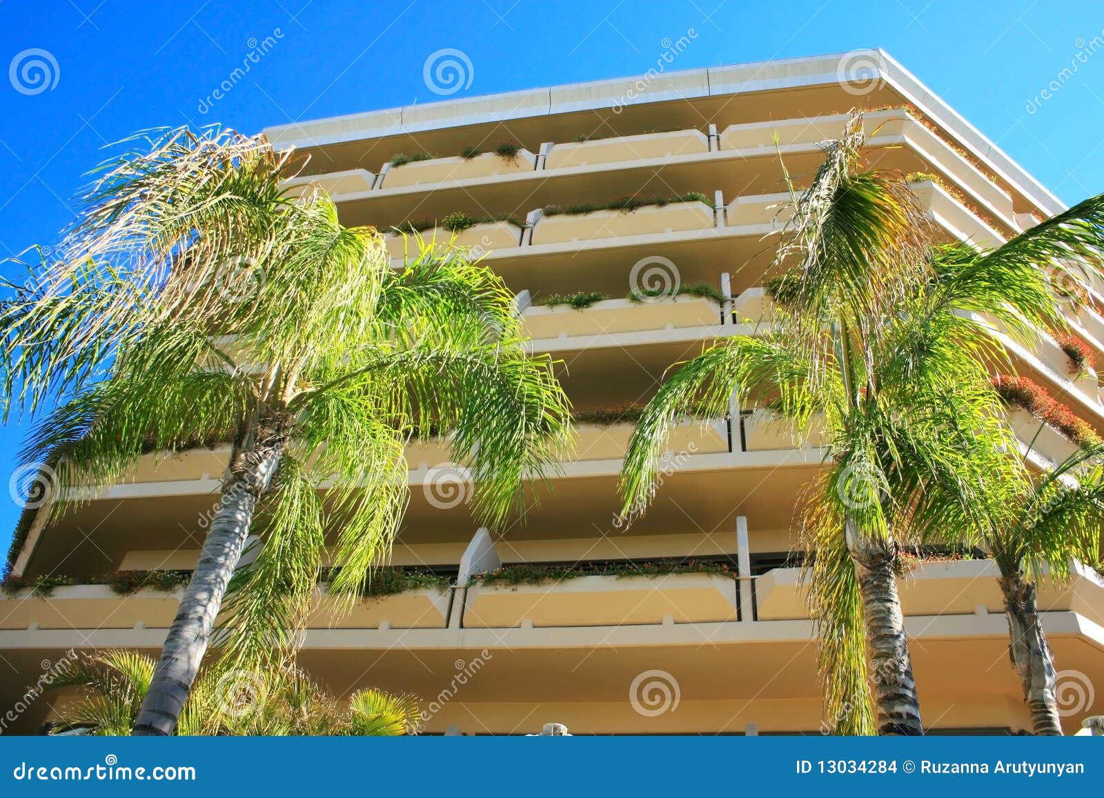 Palms and building stock photo. Image of architecture - 13034284