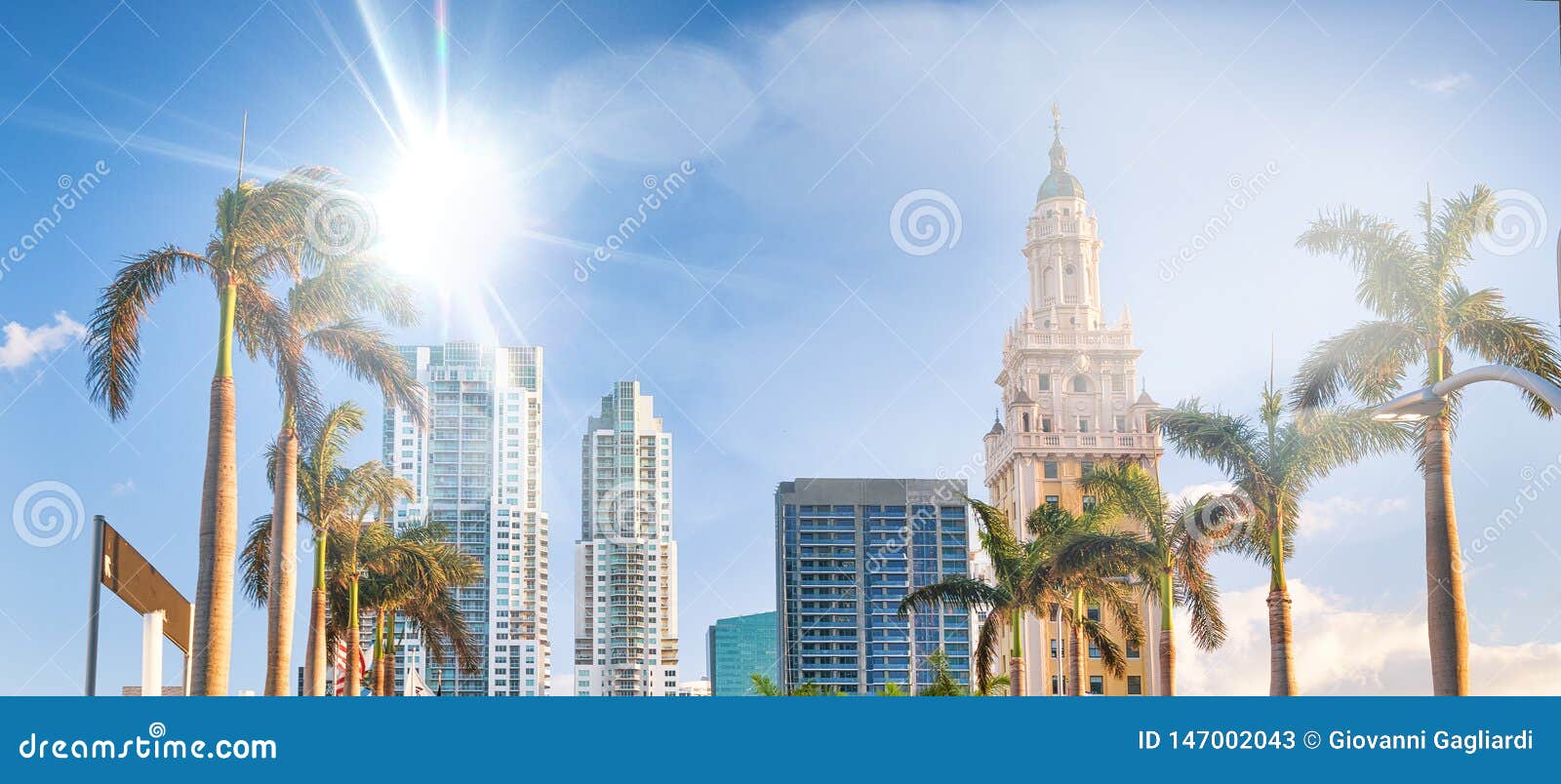 Palms and Buildings of Downtown Miami Stock Image - Image of blue ...