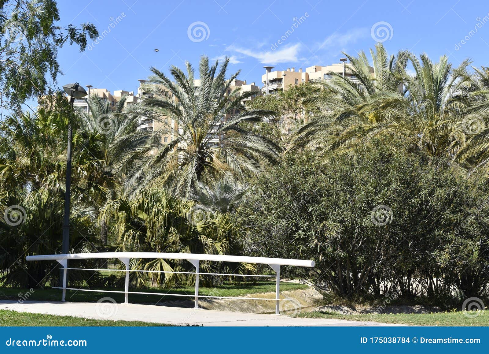 Palms and Buildings in the Park Stock Photo - Image of park, outdoor ...