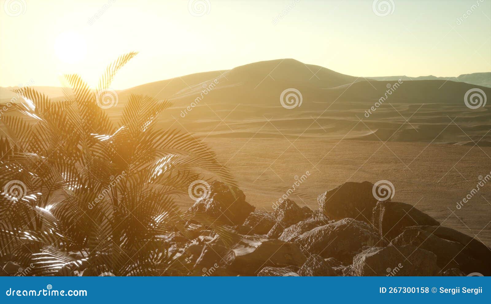 Palms in desert at sunset stock photo. Image of dunes - 267300158