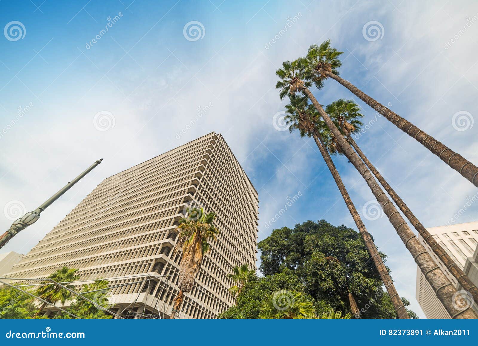 Palms in Downtown Los Angeles Stock Image - Image of scenic, colorful ...