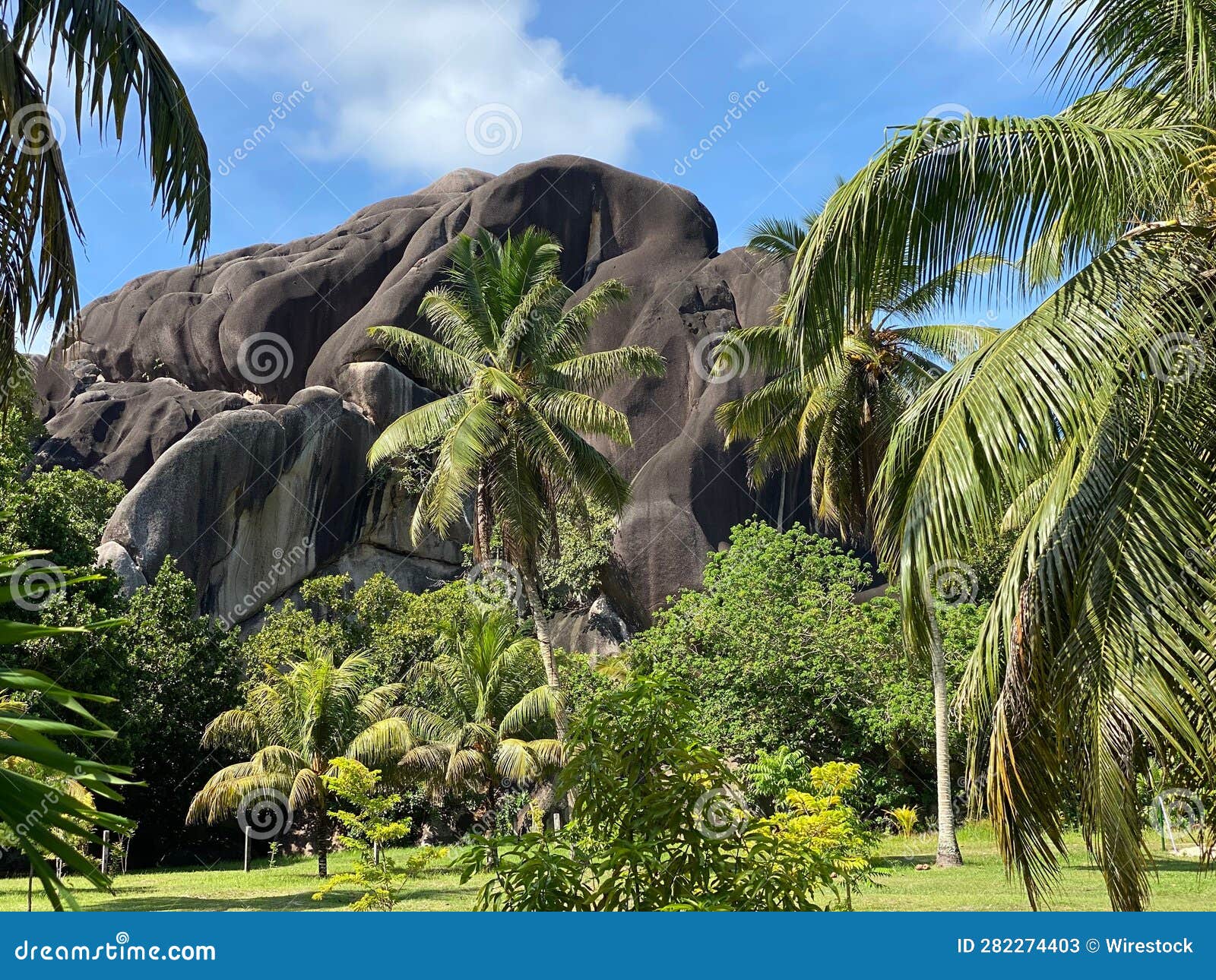 Palms and Granite Rocks in La Digue, Seychelles Stock Image - Image of ...