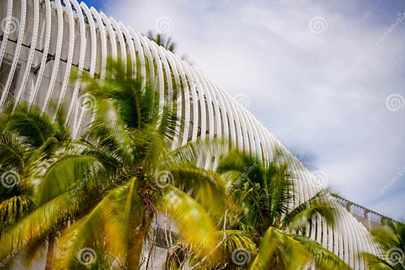 Palms by a Metallic Structure. Long Exposure Stock Image Stock Photo ...