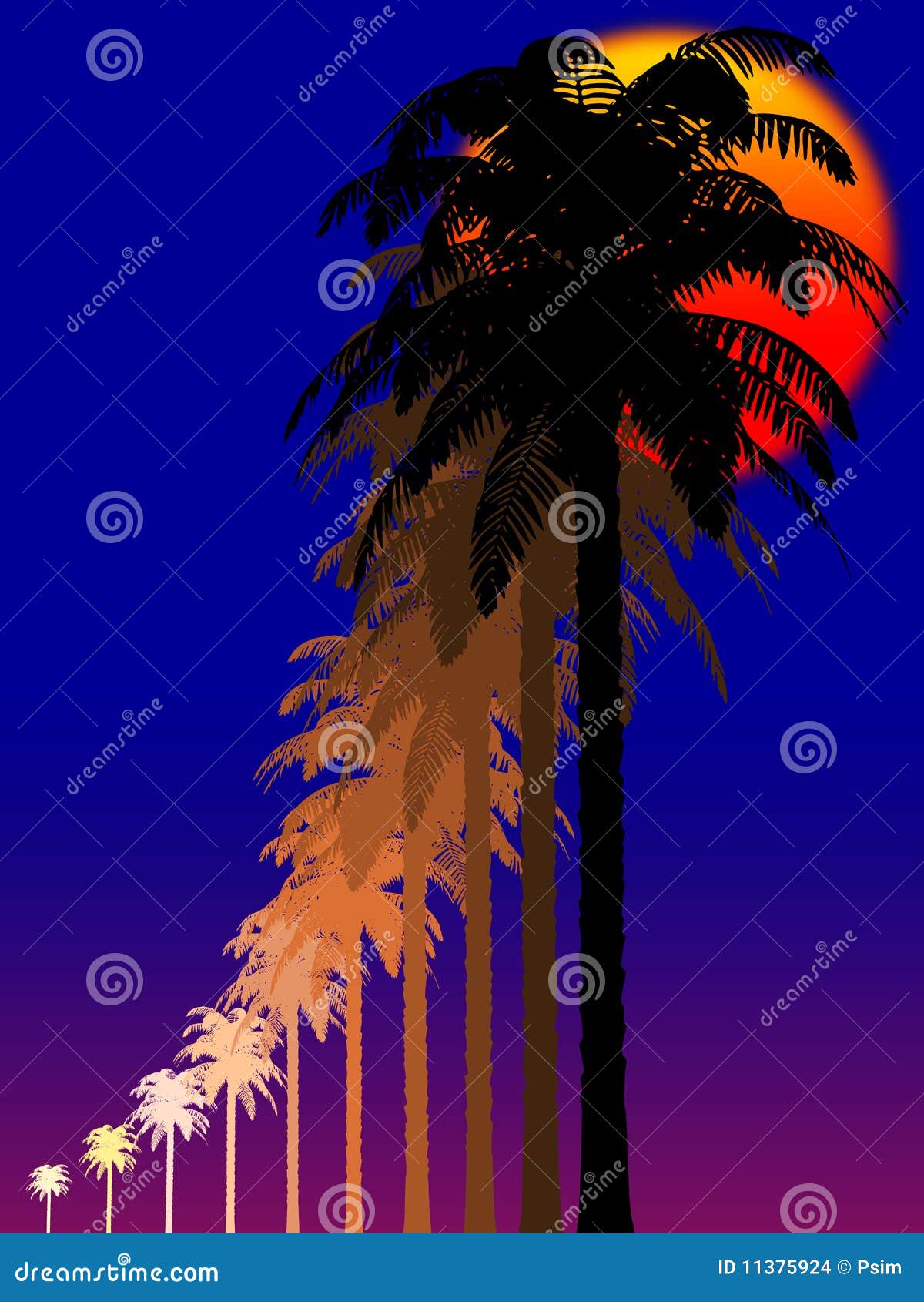 Palms at night stock illustration. Illustration of tropical - 11375924