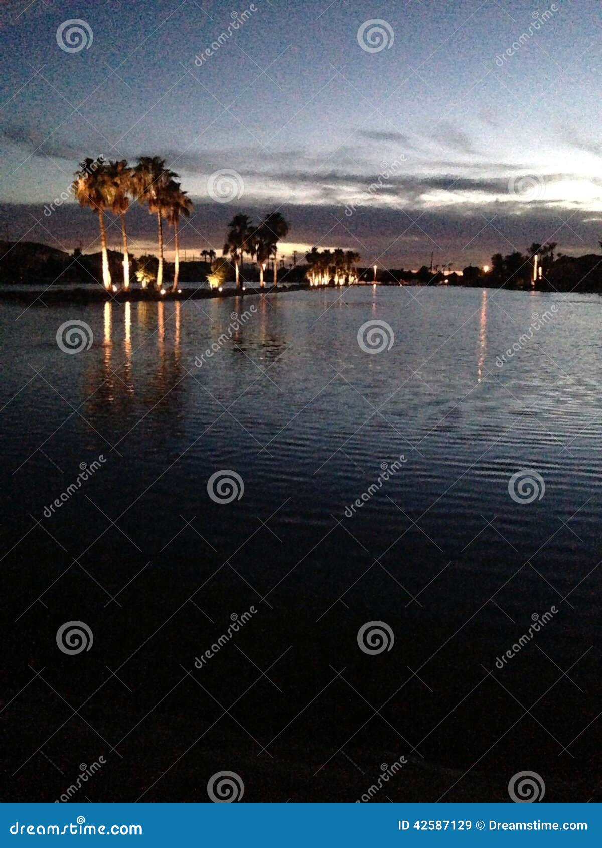 Palms at night stock image. Image of water, trees, palm - 42587129