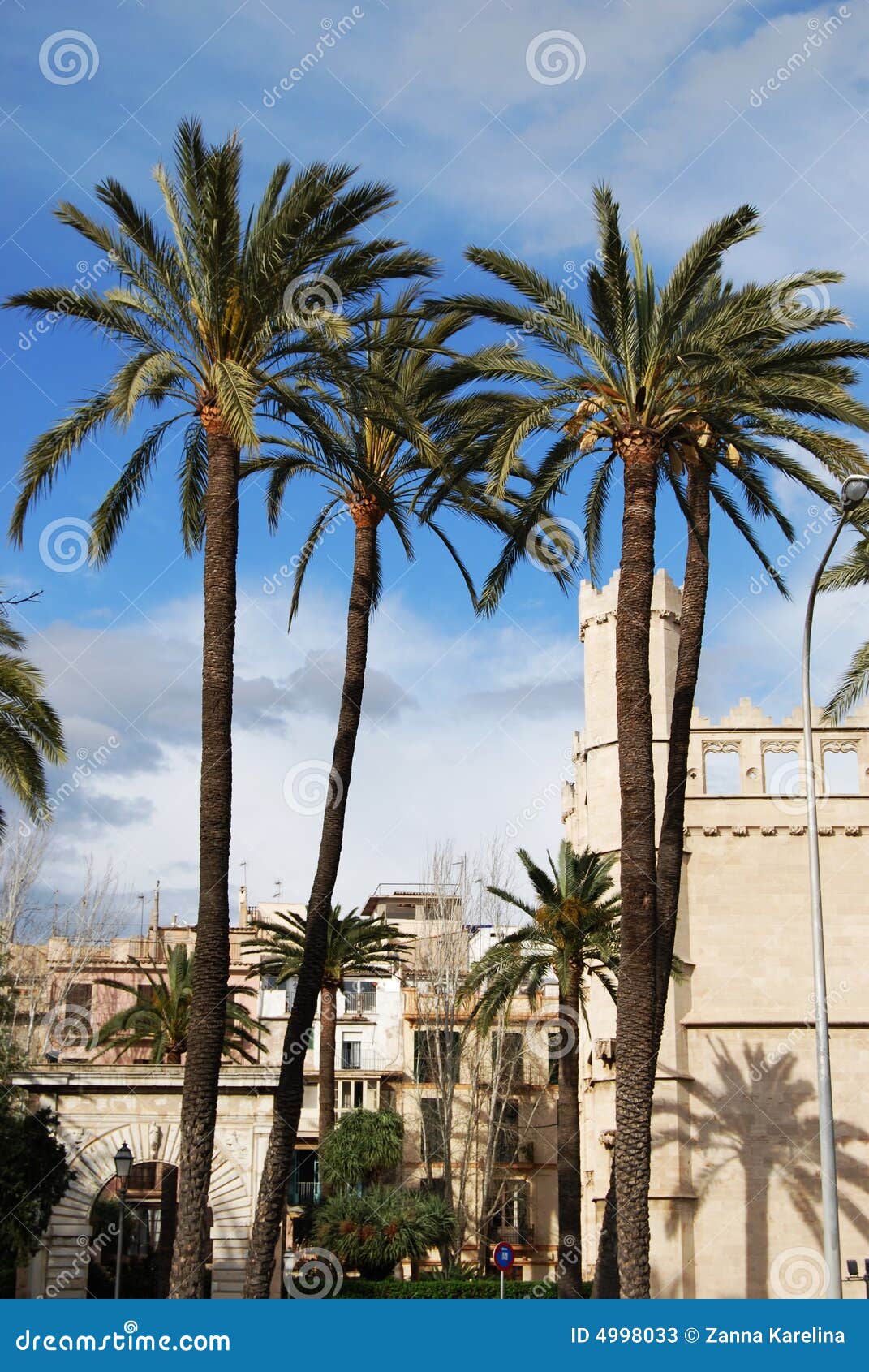 Palms in Palma de Majorca stock image. Image of majorca - 4998033