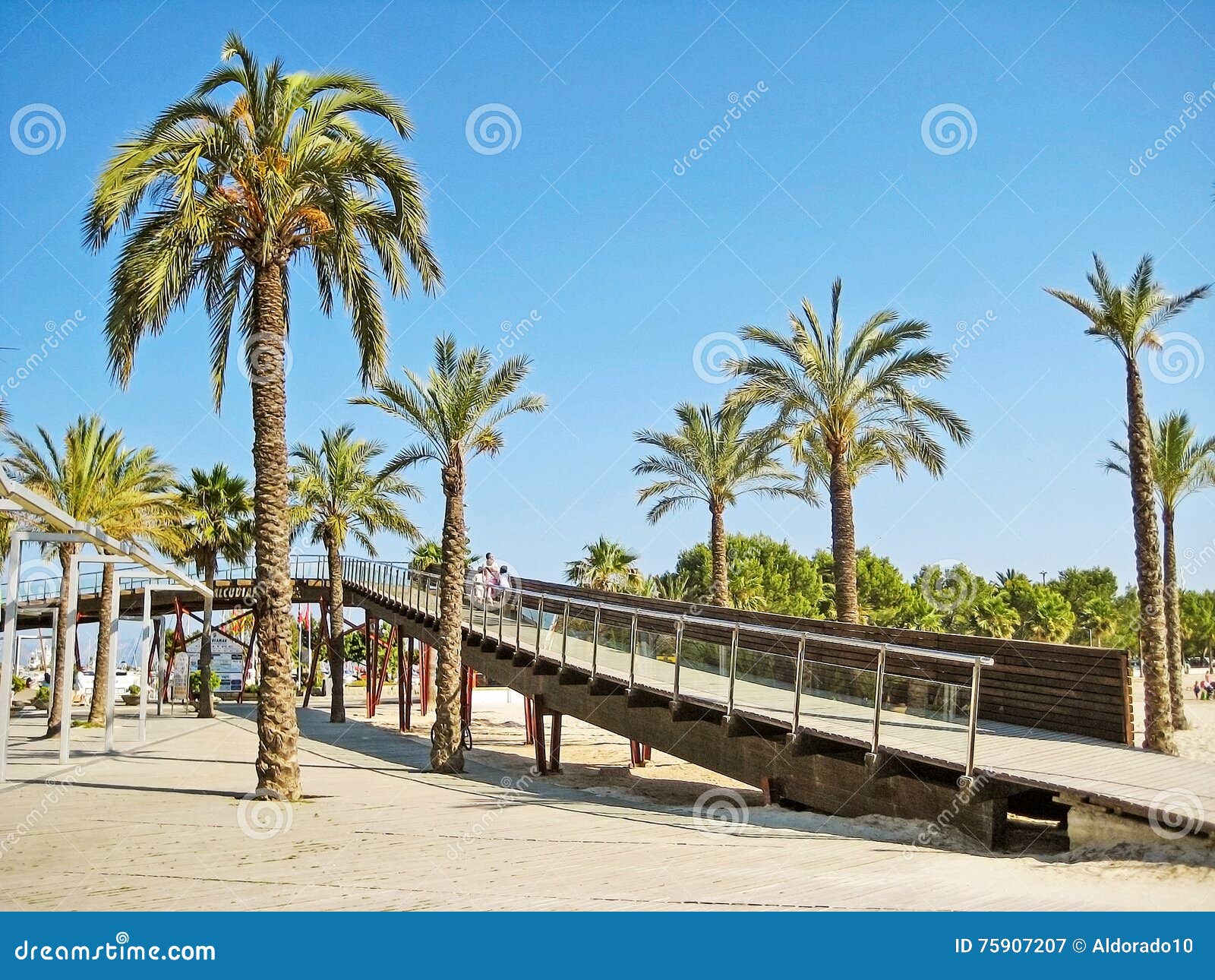 Palms with Pier at Beach in Alcudia, Majorca, Spain Editorial ...