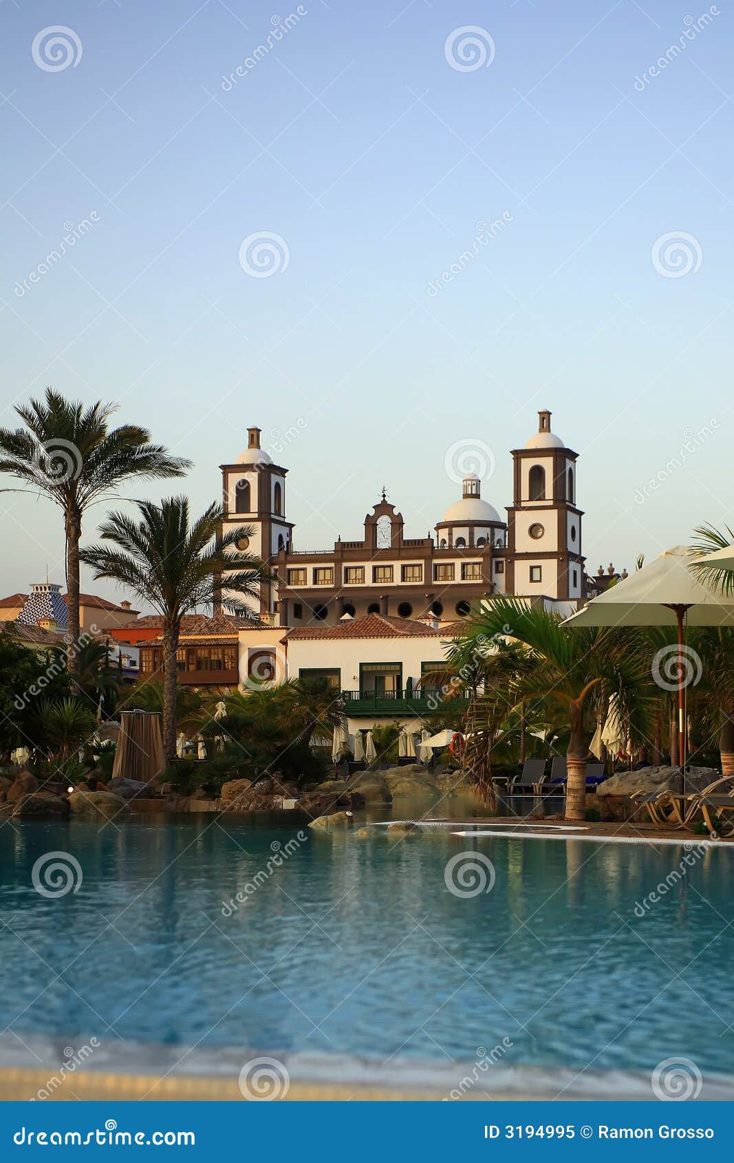 Palms and pool stock image. Image of rich, mansion, pool - 3194995