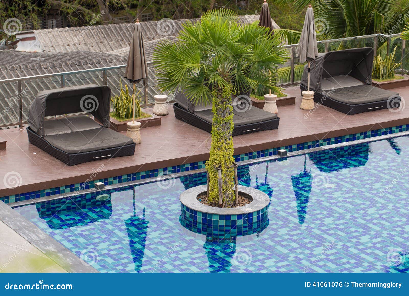 Palms Pool Sea view stock photo. Image of beach, swimming - 41061076