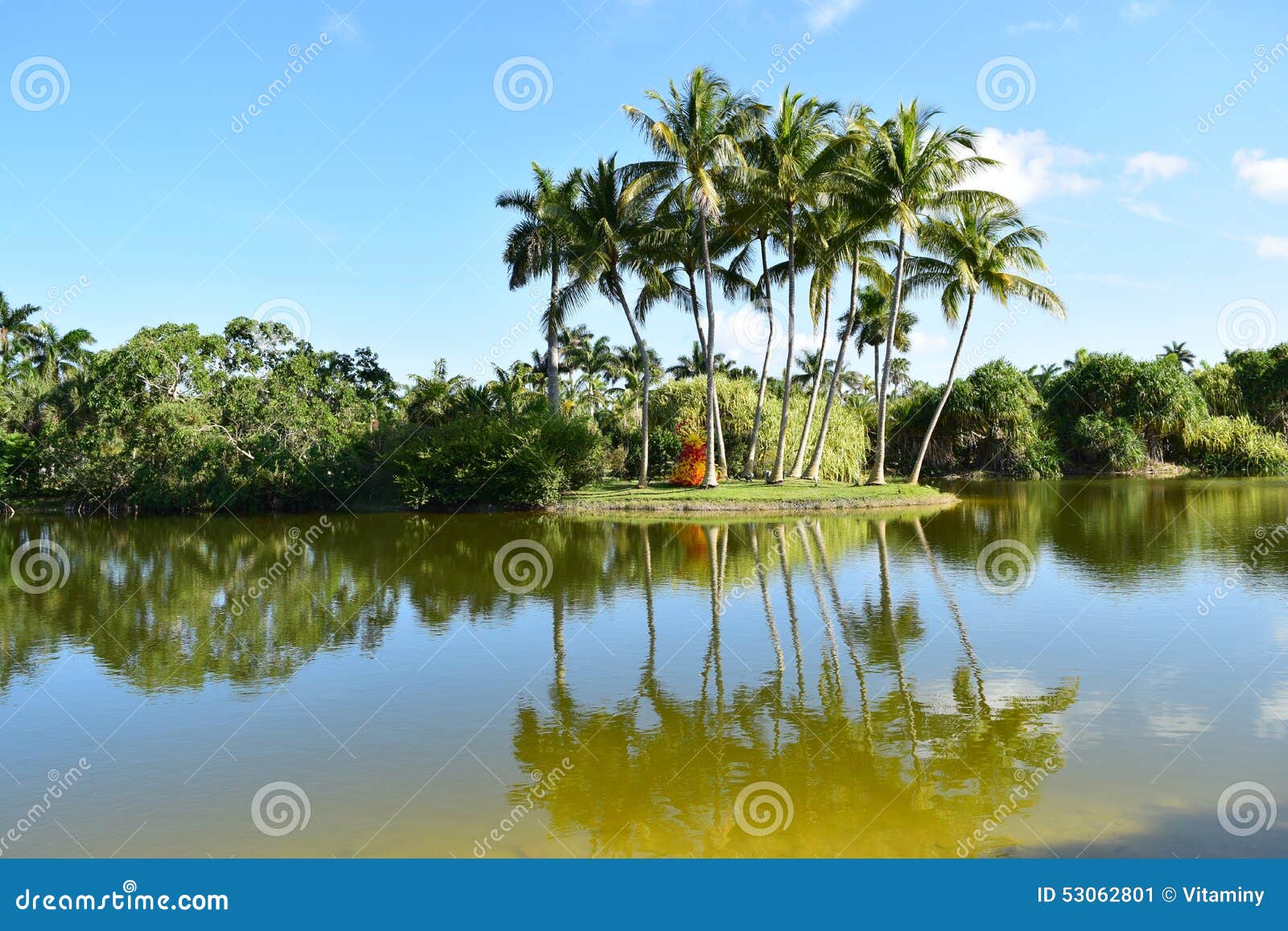 Palms Reflection on the Water Stock Image - Image of stairs, nature ...