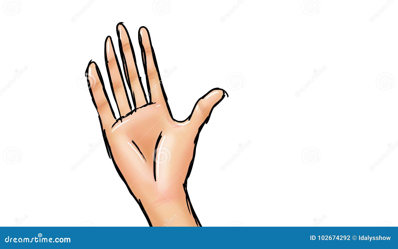 Right Hand, Palms Right Hand Up, Illustration Stock Illustration ...