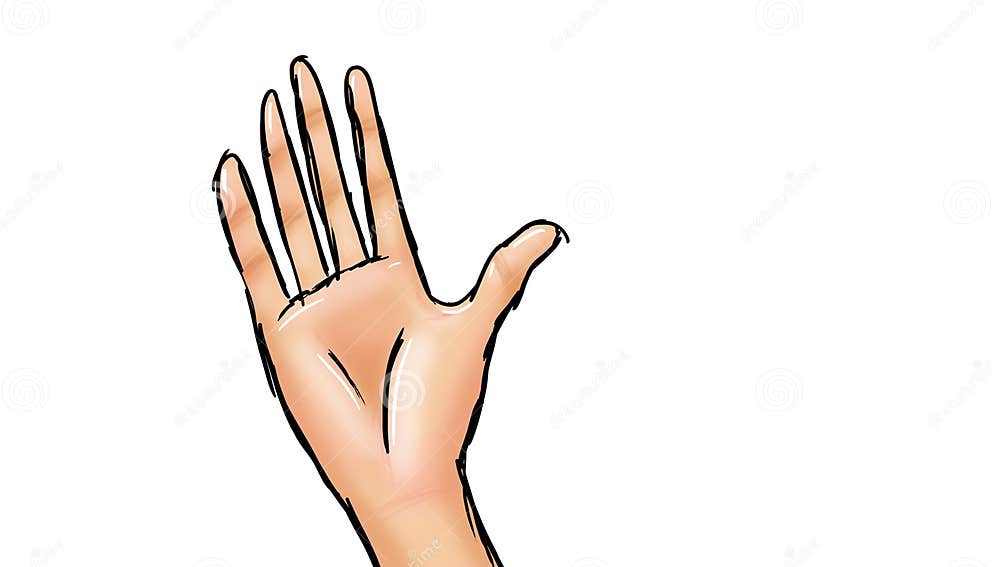 Right Hand, Palms Right Hand Up, Illustration Stock Illustration ...