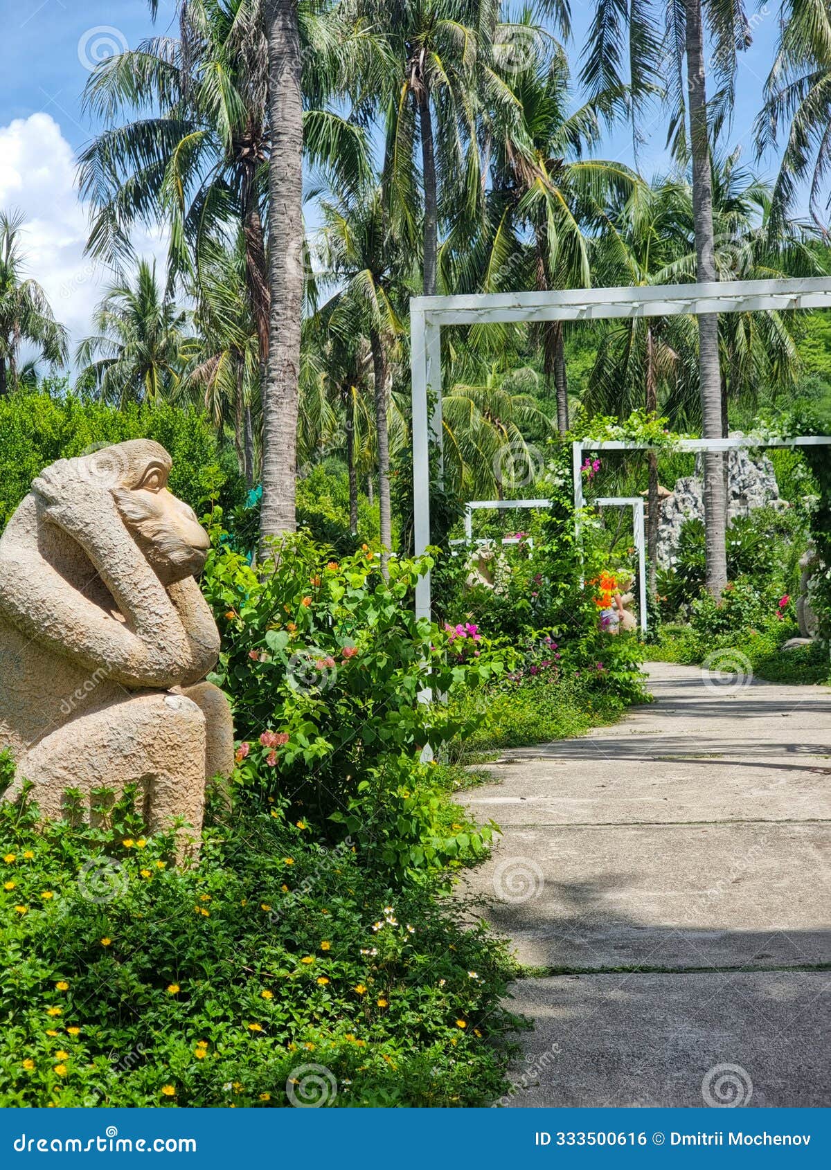 Palms road stock photo. Image of walkway, vegetation - 333500616