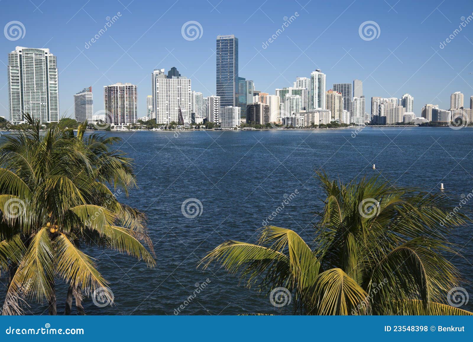 Palms and skyline of Miami stock photo. Image of atlantic - 23548398