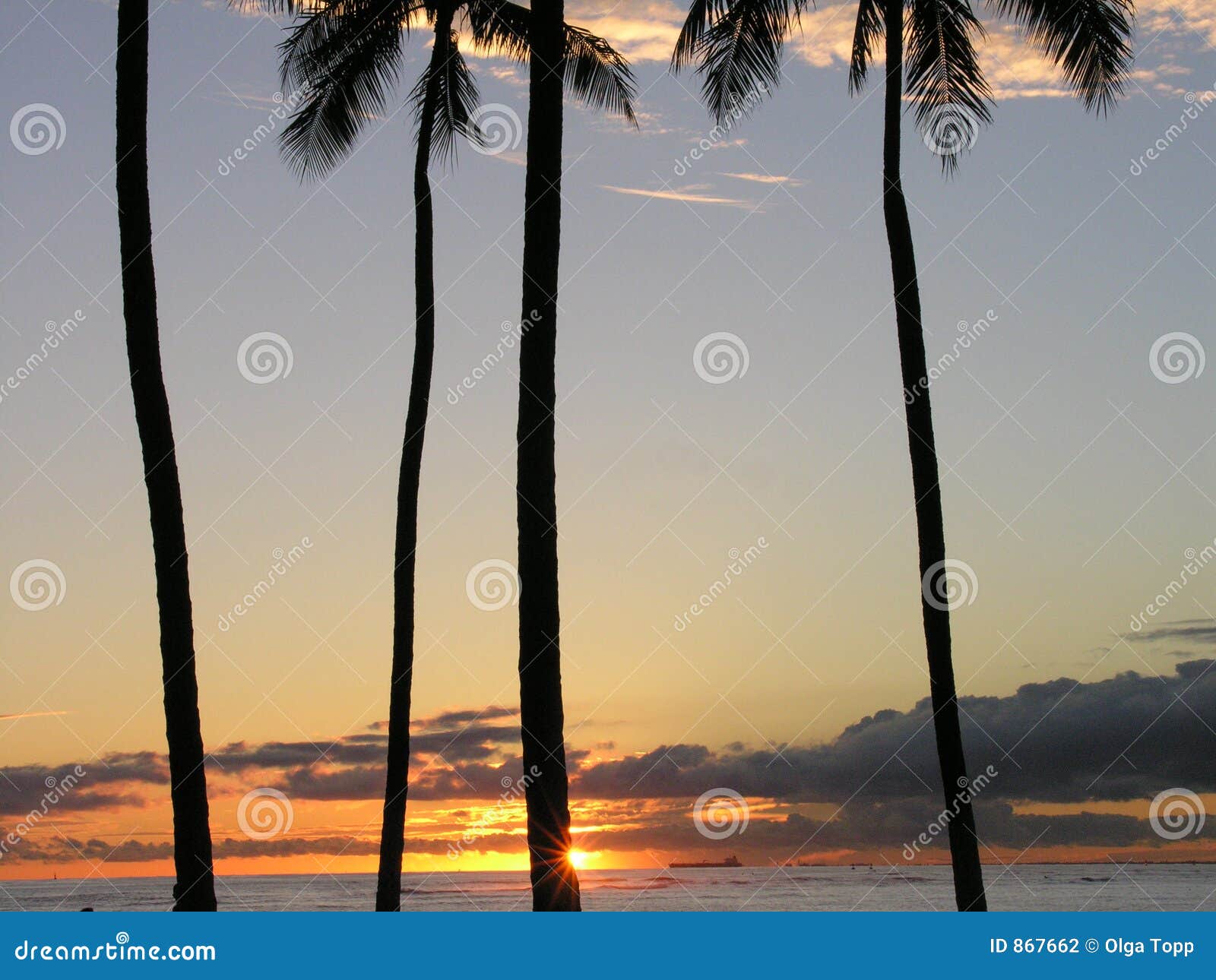 Palms at sunset stock photo. Image of relax, resort, paradise - 867662