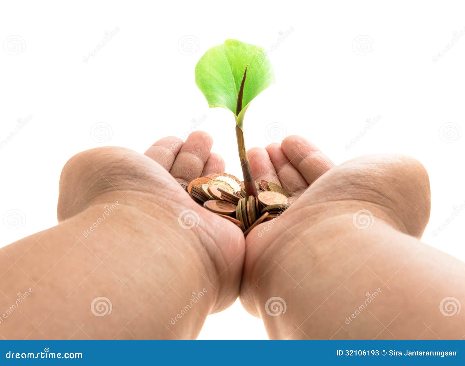 Palms with a Tree Growing from Pile of Coins Stock Image - Image of ...