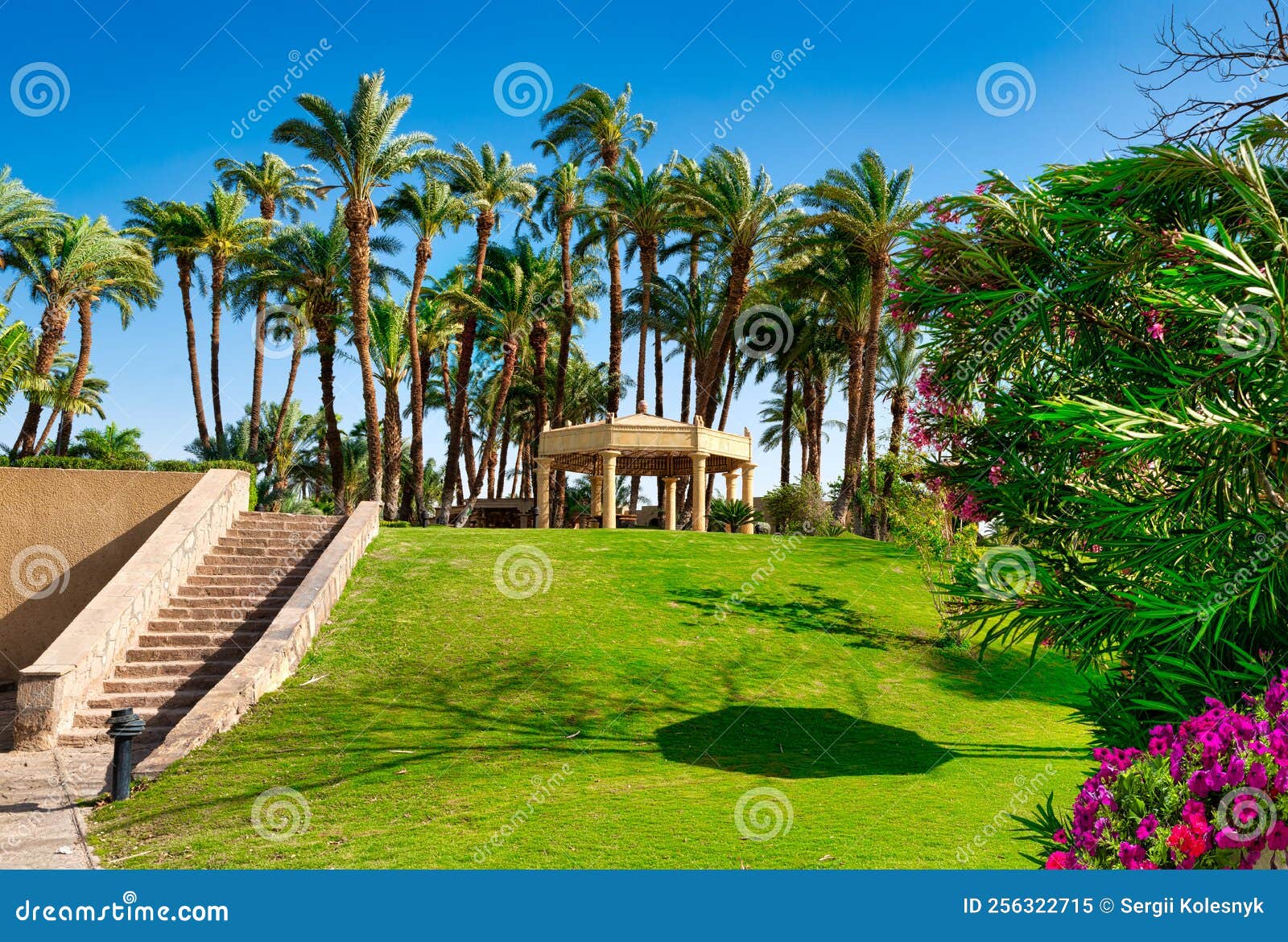 Palms trees in public park stock image. Image of paradise - 256322715