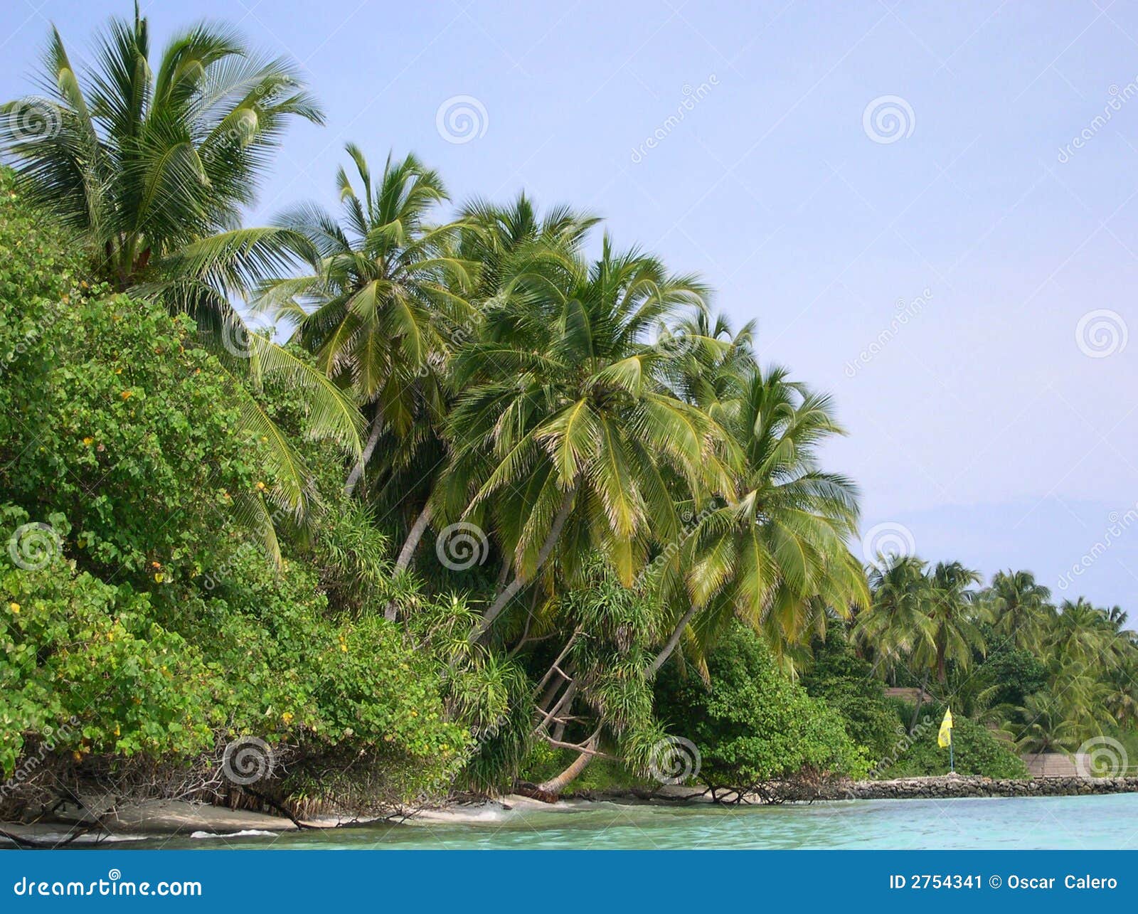 Palms on a tropical island stock image. Image of holidays - 2754341 Palms on a tropical island stock image. Image of holidays - 2754341