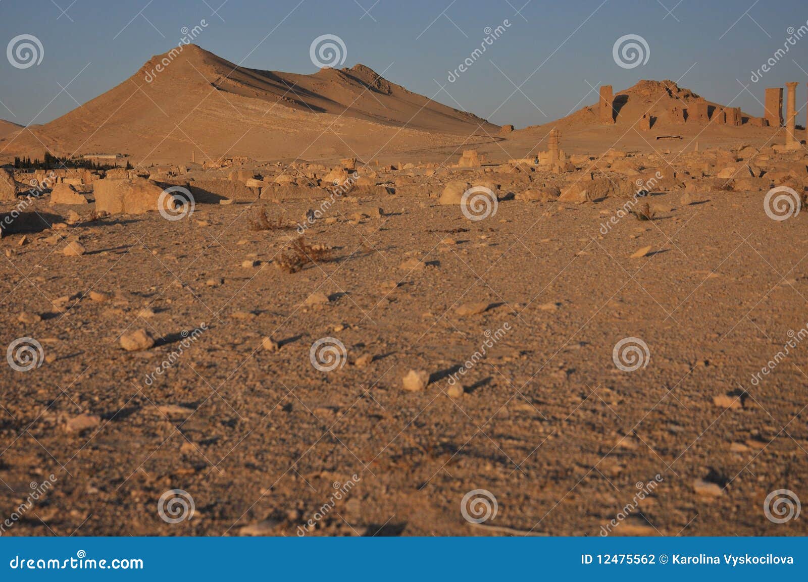 Palmyra and desert stock photo. Image of ancient, arid - 12475562