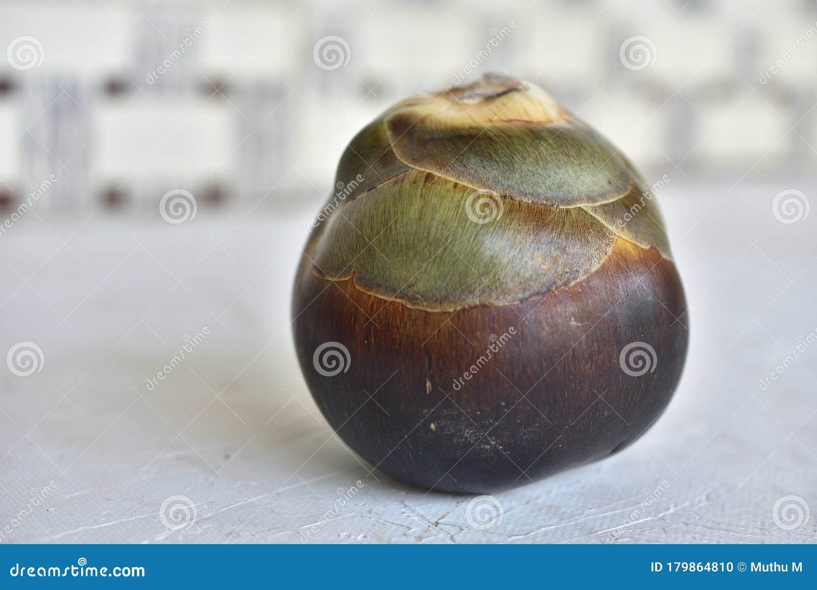 Palmyra Palm, Toddy Palm or Sugar Palm Fruit Isolated on White ...