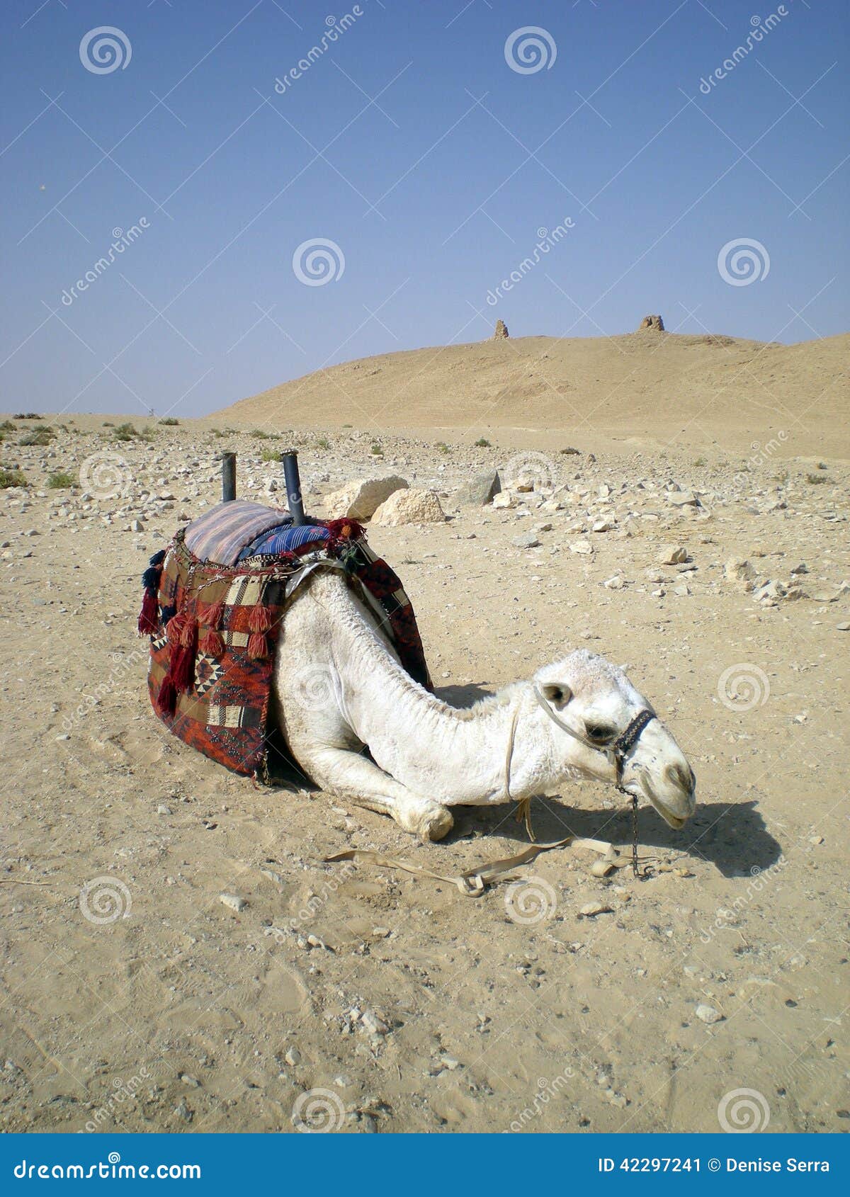 Palmyra, Syria stock image. Image of syrian, ruin, ancient - 42297241