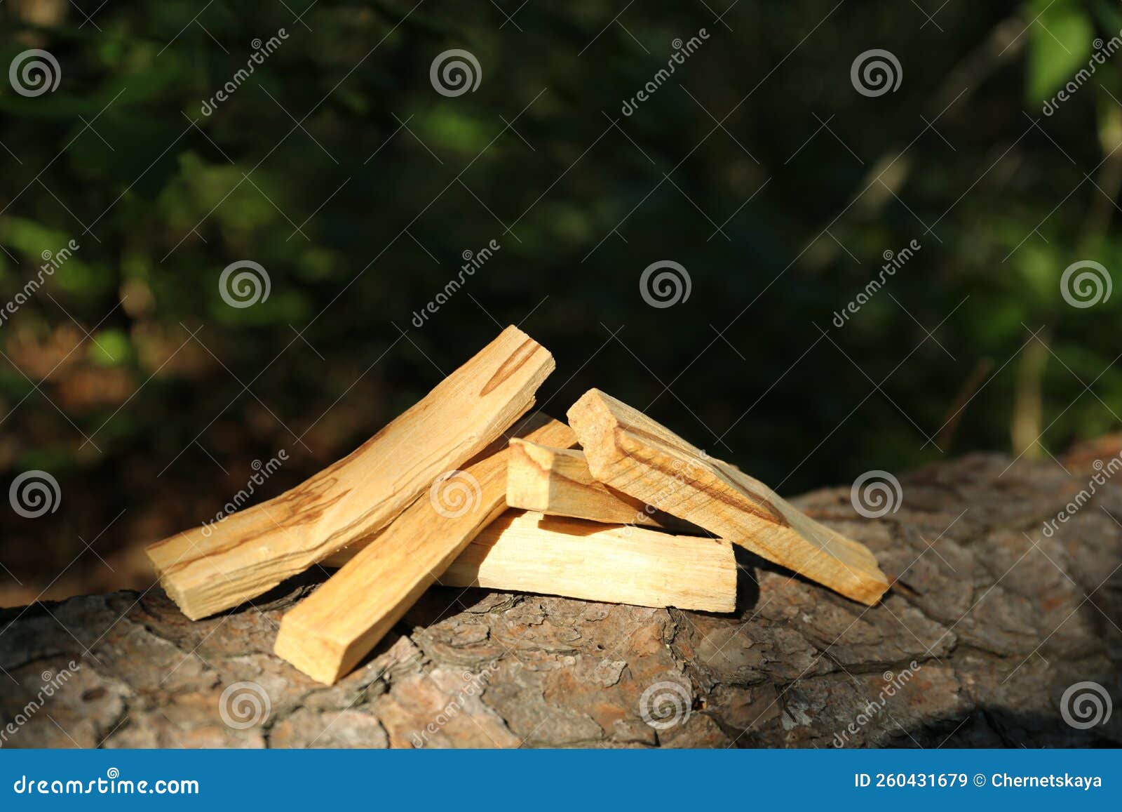 Palo Santo Sticks on Tree Bark Outdoors, Closeup Stock Image - Image of ...
