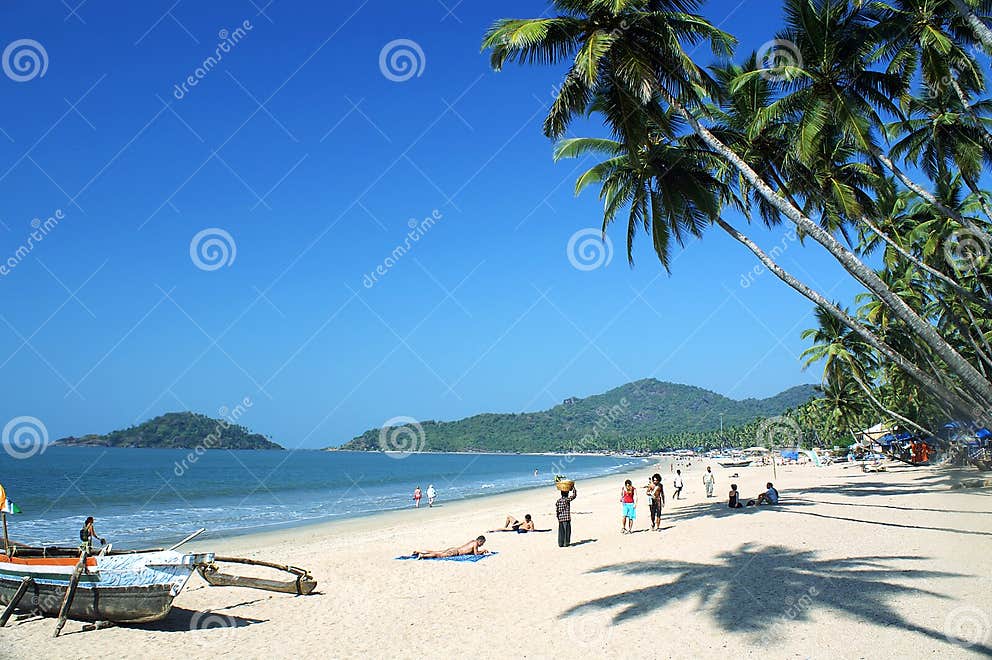 Palolem beach stock image. Image of plant, shadow, paradise - 2288059