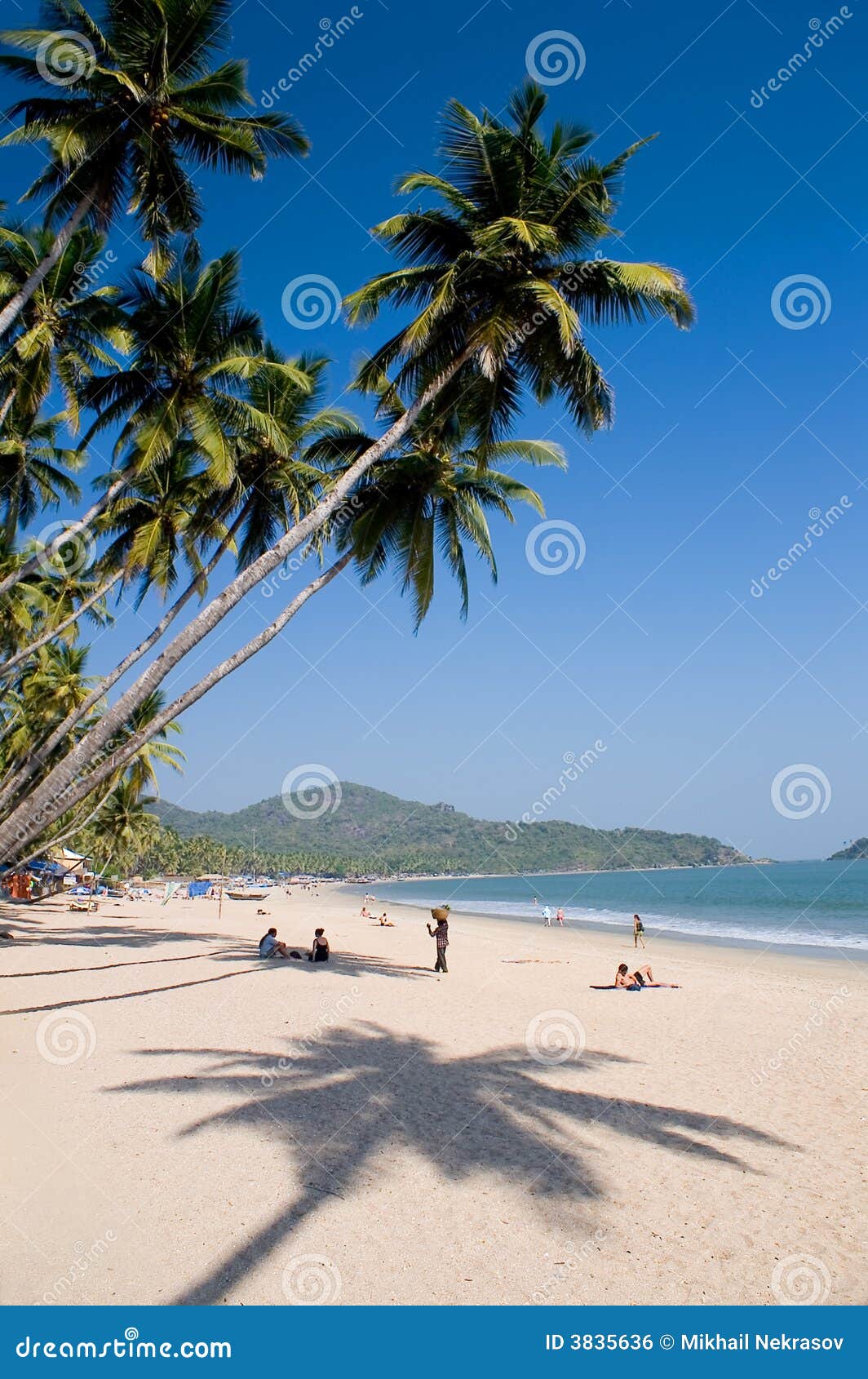 Palolem beach stock photo. Image of destination, idyllic - 3835636