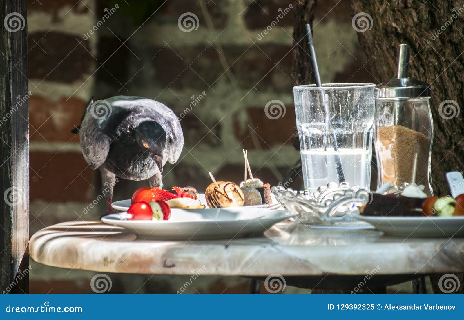 Paloma Que Come La Comida De La Tabla Del Restaurante Imagen de archivo ...