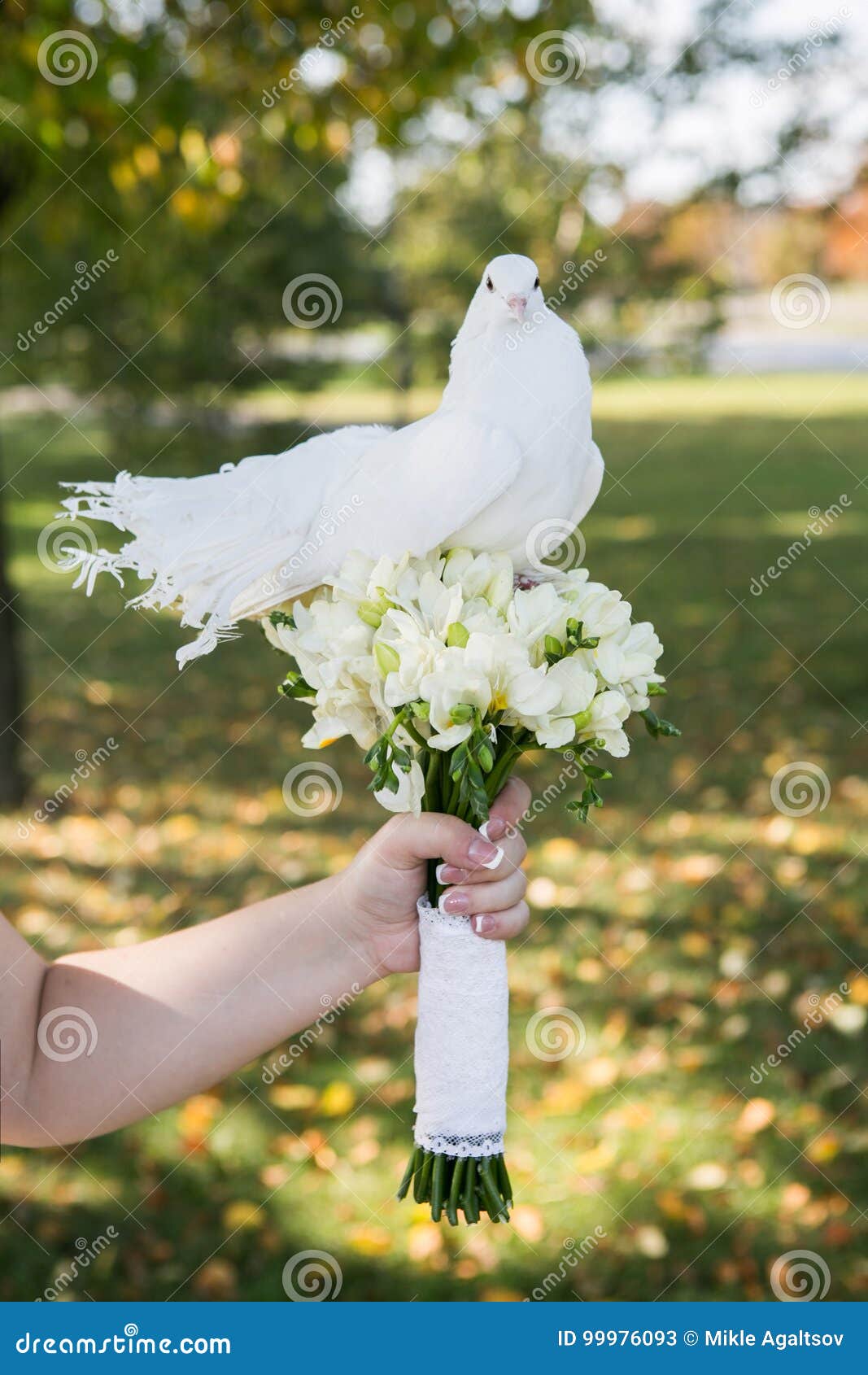 Palomas en ramo de la boda imagen de archivo. Imagen de partido - 99976093