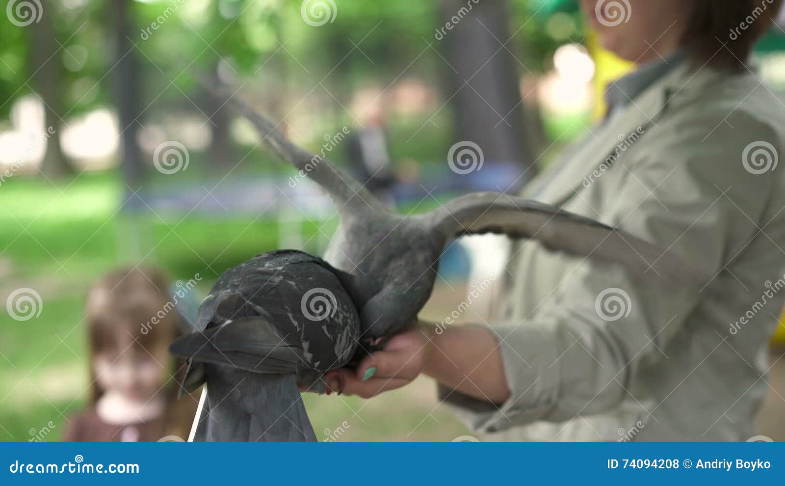 Palomas Que Comen Con Las Manos Metrajes - Vídeo de manos, enmascarado ...