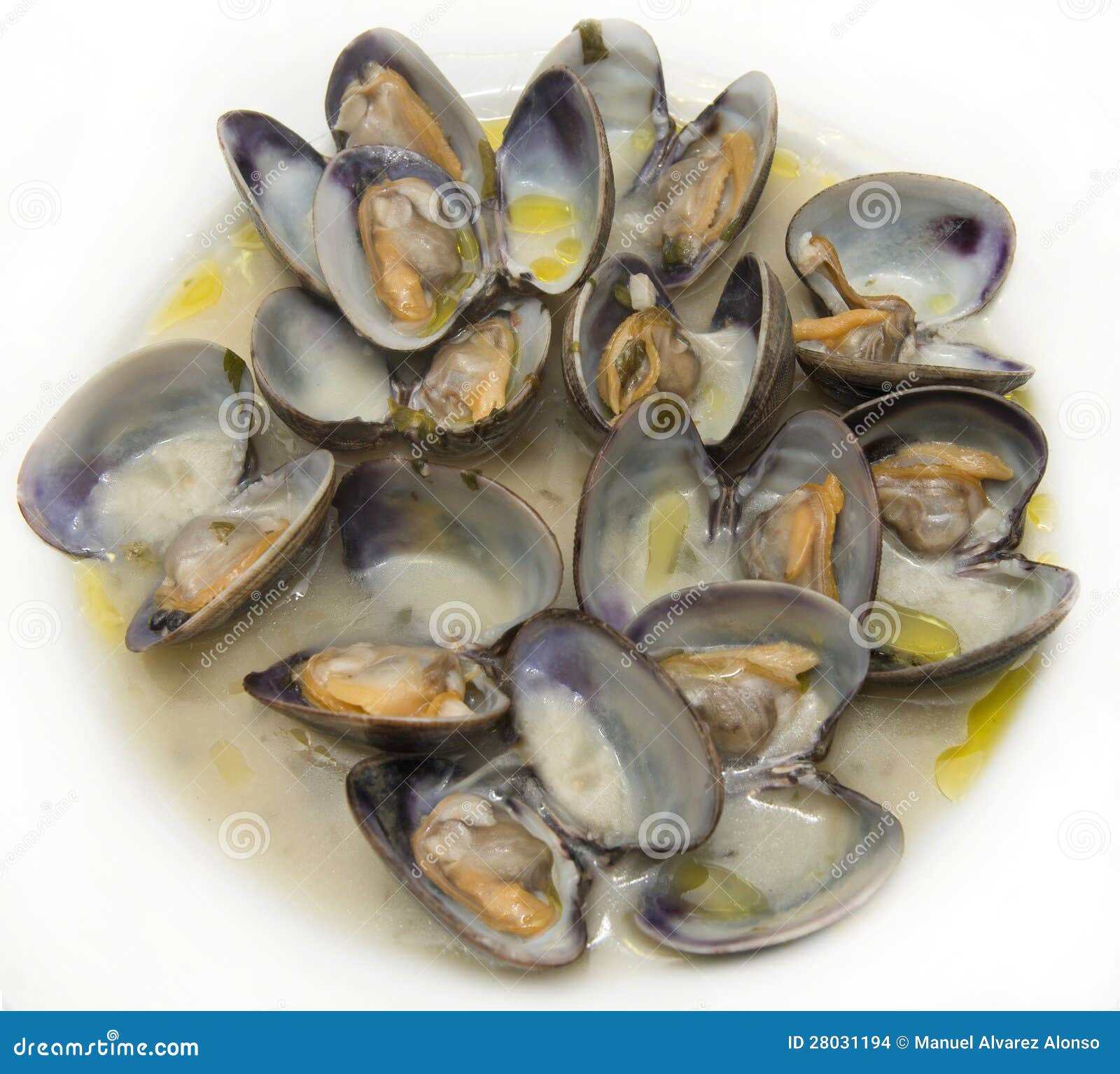 Palourde cuite photo stock. Image du personne, studio - 28031194