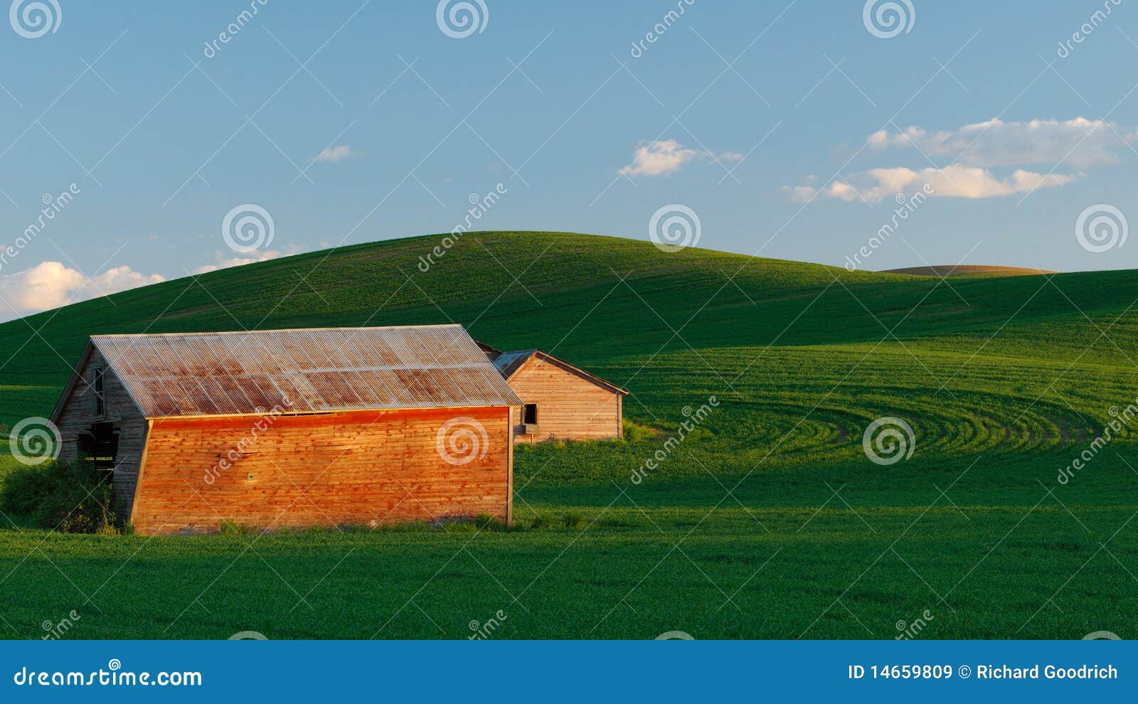 Palouse Barns stock image. Image of farm, wheat, barn - 14659809