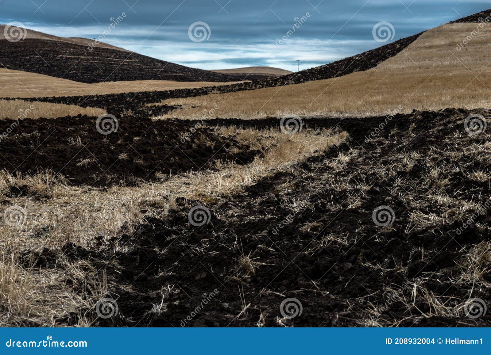 Palouse Fields stock photo. Image of eastern, grass - 208932004