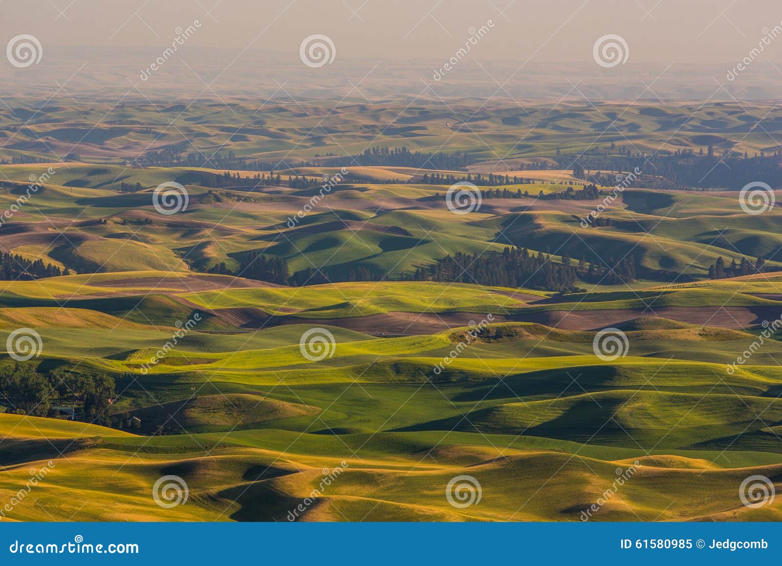 Palouse Fields stock image. Image of wheat, state, hills - 61580985