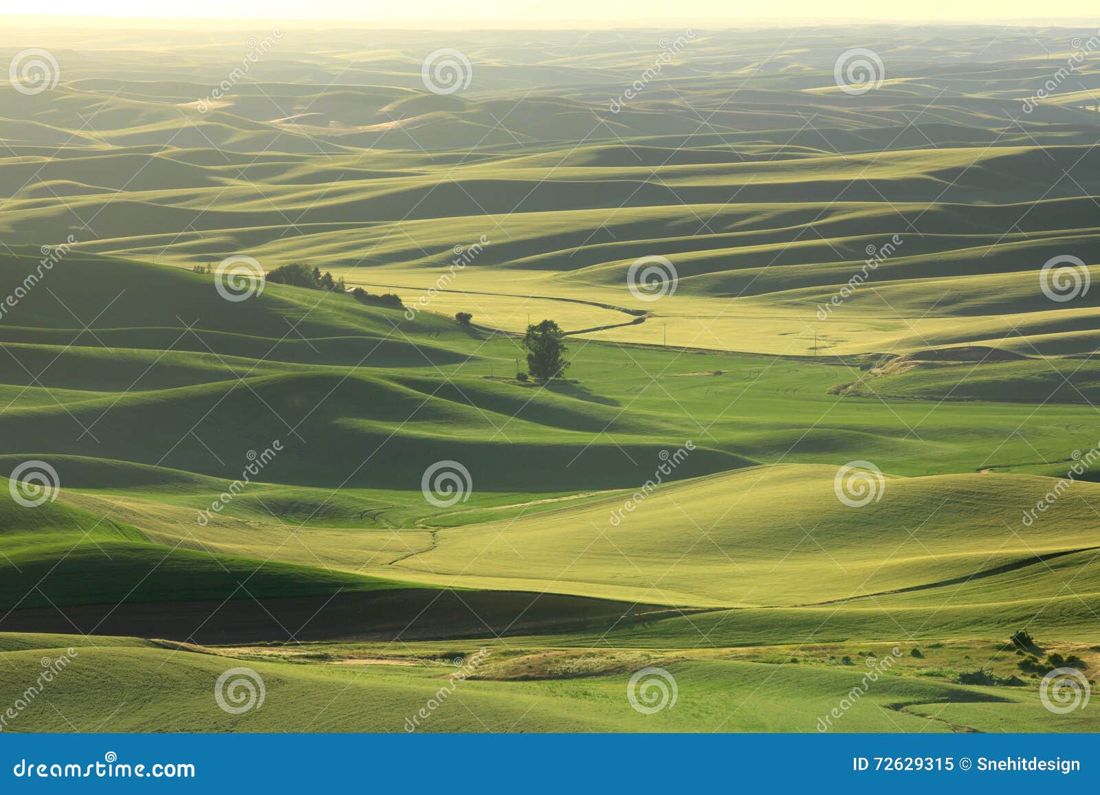 Palouse landscape stock image. Image of grass, park, pattern - 72629315