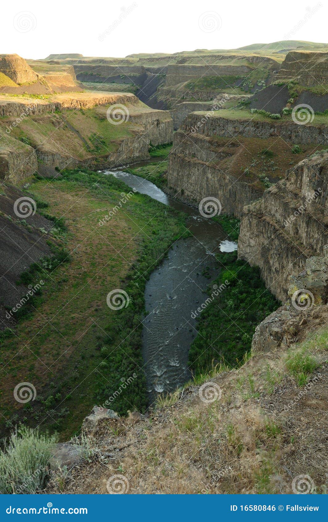 Palouse river and canyon stock photo. Image of deep, scenery - 16580846