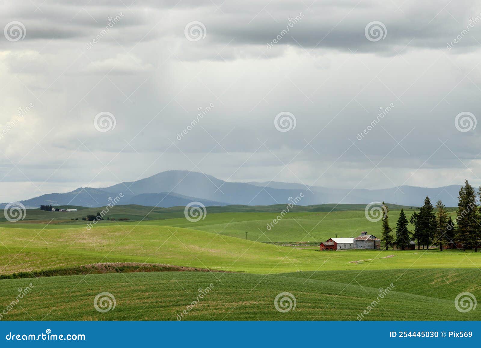 A View of the in Palouse Valley Washington Stock Photo - Image of ...