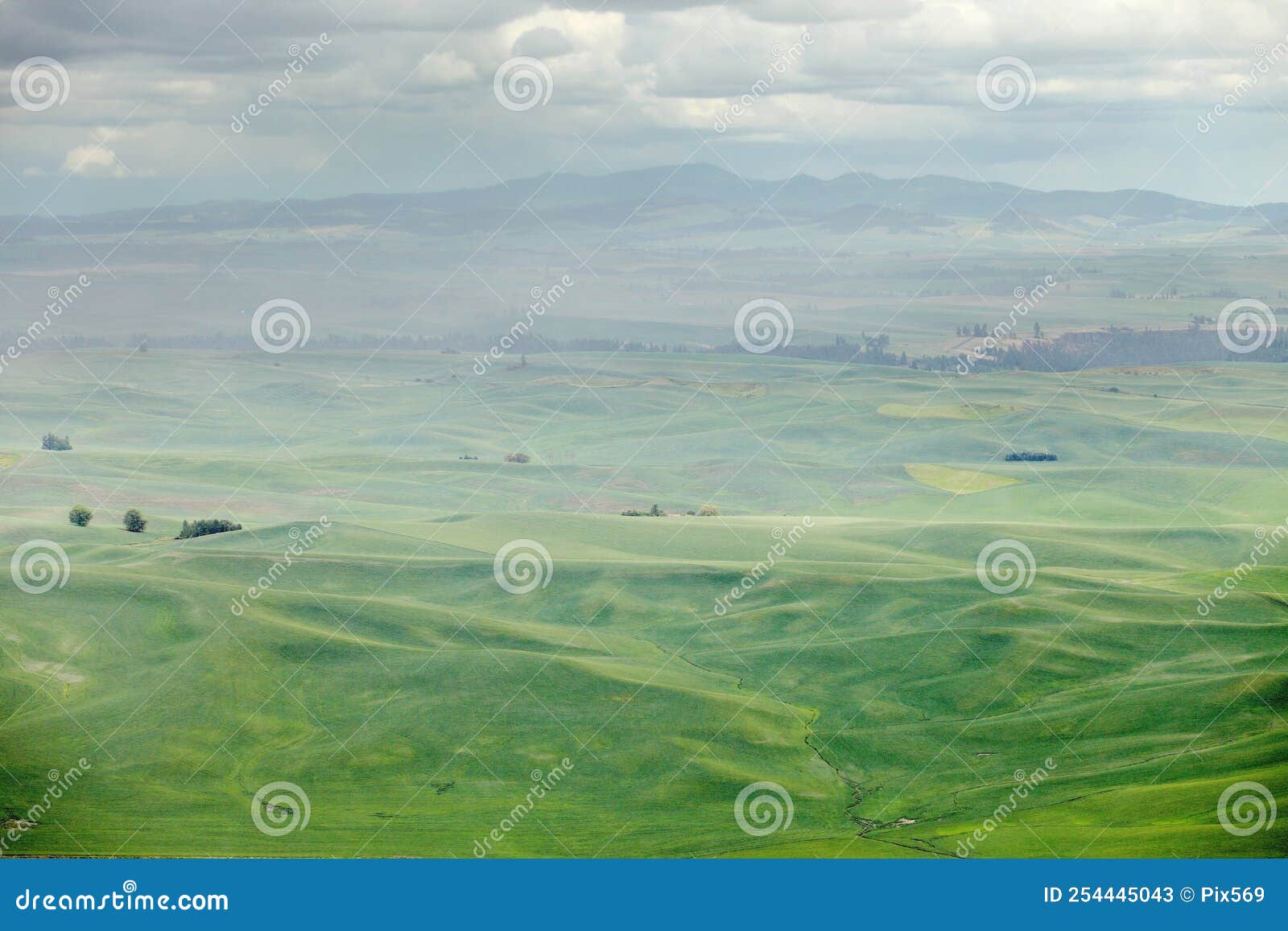 An Overhead View of the in Palouse Valley Washington Stock Image ...