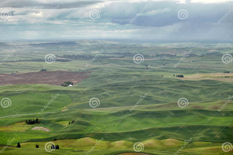 Palouse valley Washington stock photo. Image of washington - 254445062
