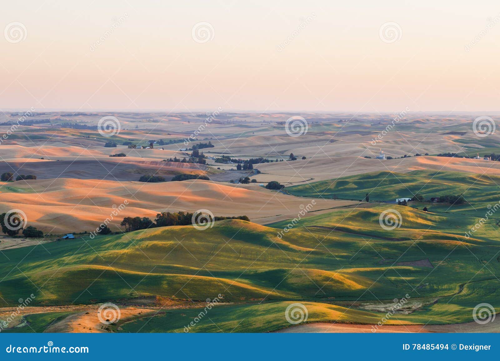 Palouse, WA stock photo. Image of field, palouse, washington - 78485494