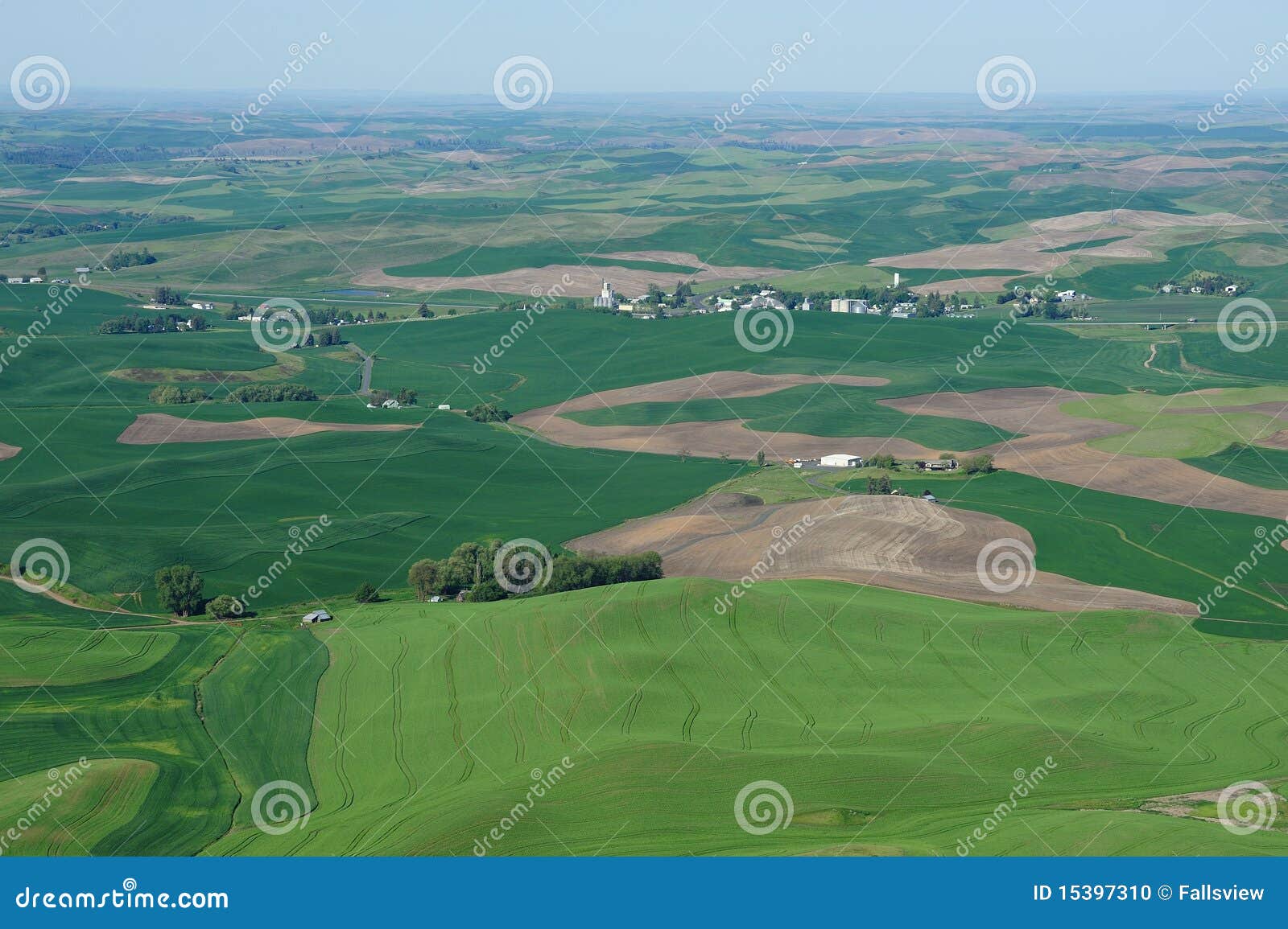 Palouse wheat fields stock photo. Image of sunset, green - 15397310
