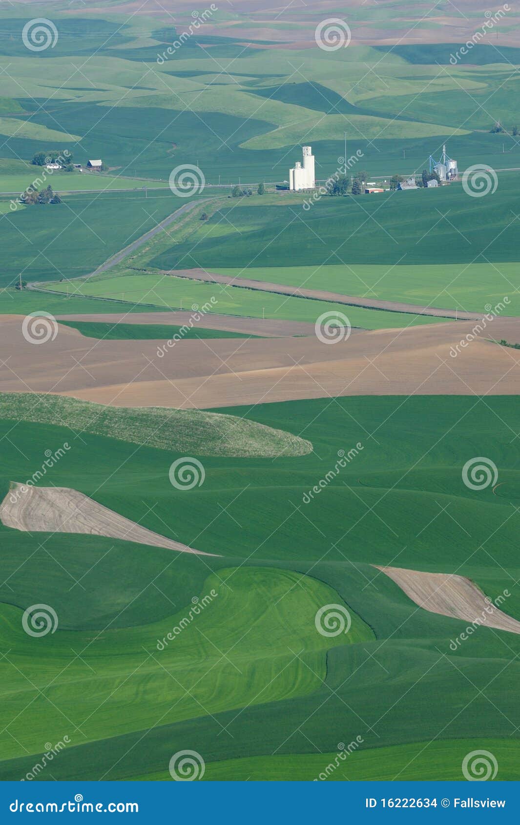 Palouse wheat fields stock photo. Image of state, washington - 16222634